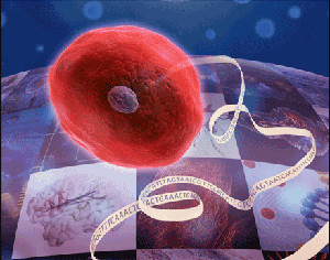 The Method of the Year for 2013 is… single-cell sequencing | Research ...