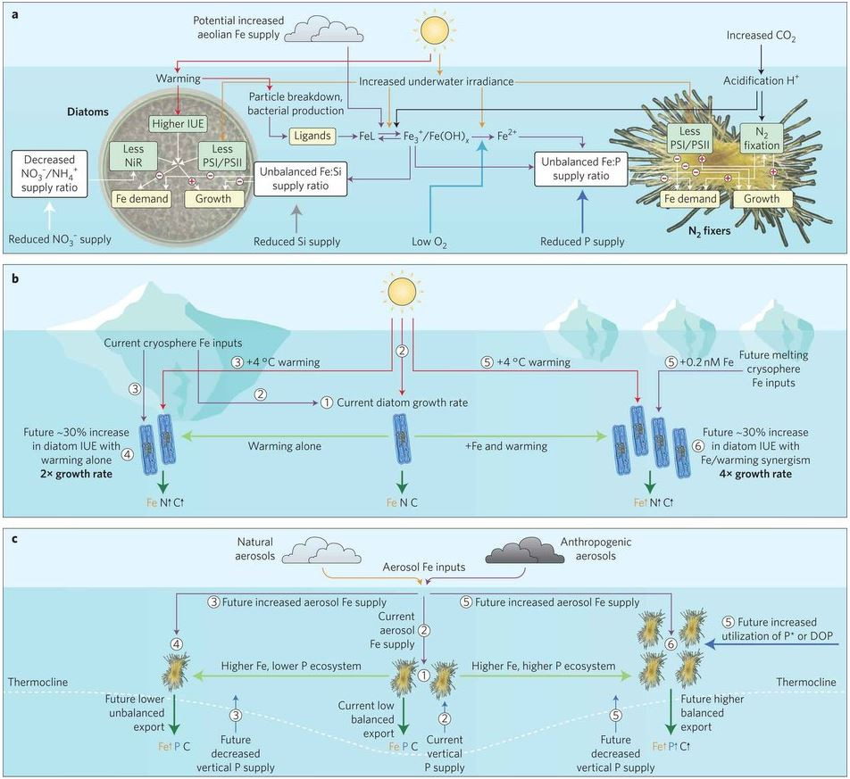 Climate change and the ocean | Research Communities by Springer Nature