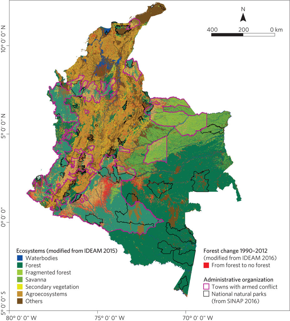 International Day of Forests | Research Communities by Springer Nature