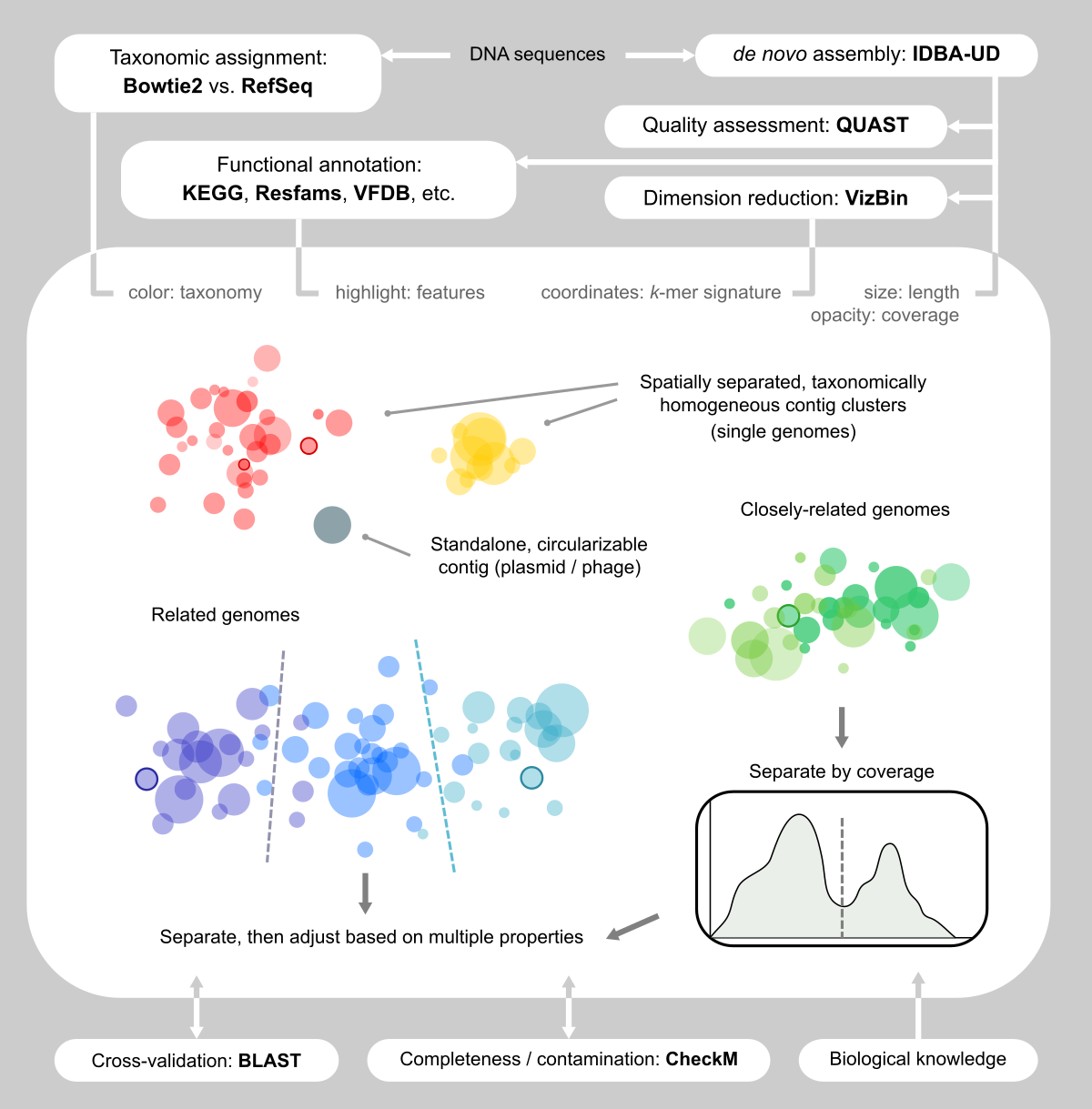 Capturing microbial dark matter by visualizing them | Research ...