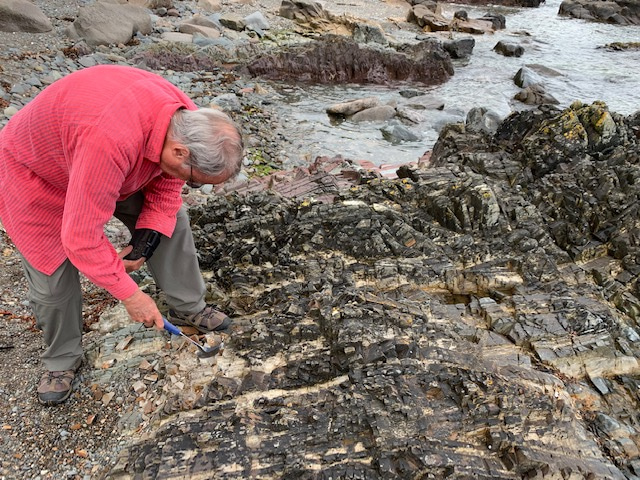 World’s Oldest Bug is Fossil Millipede from Scotland | Research ...