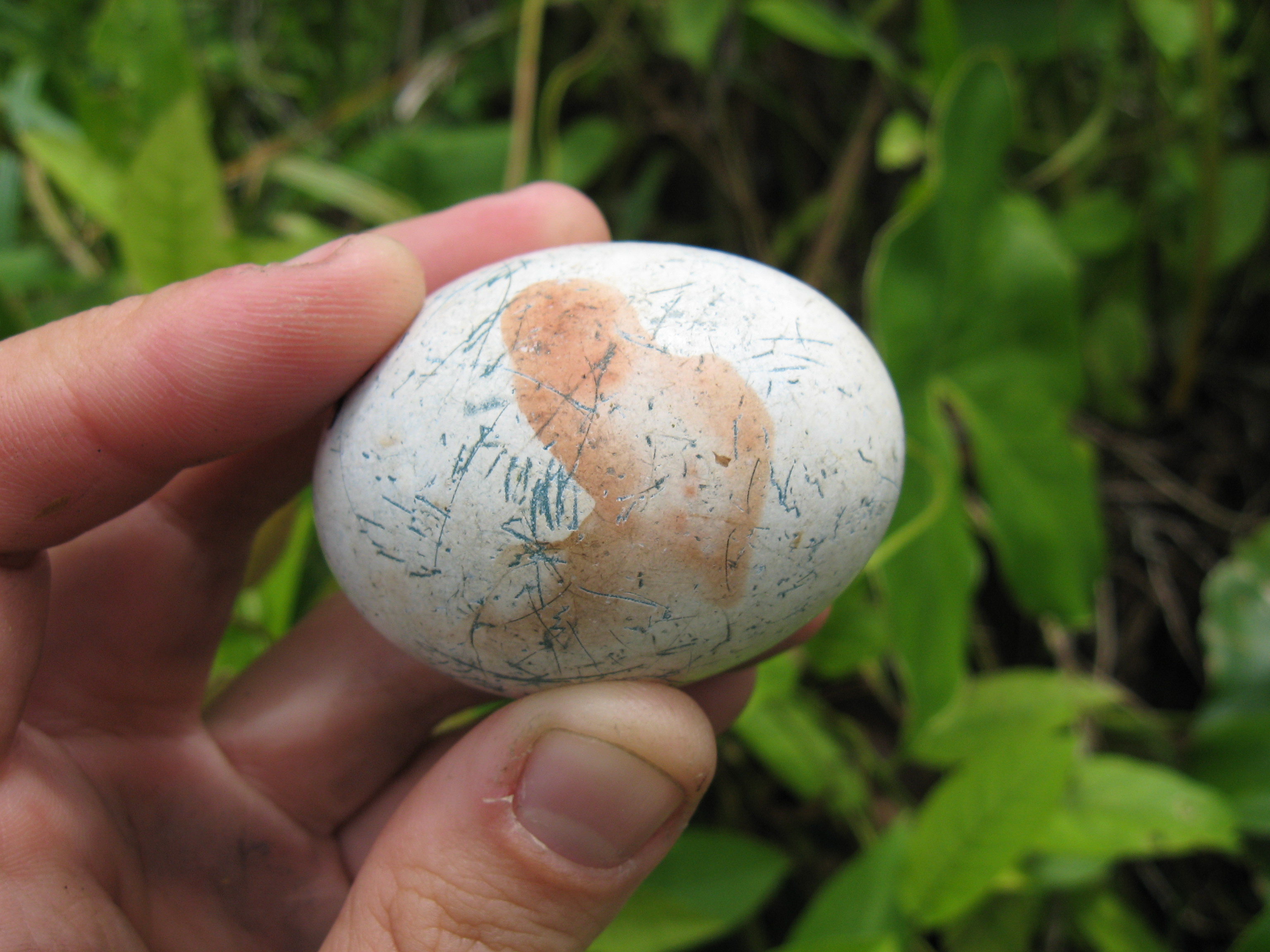 Why cooperate when you could cheat? | Research Communities by Springer ...