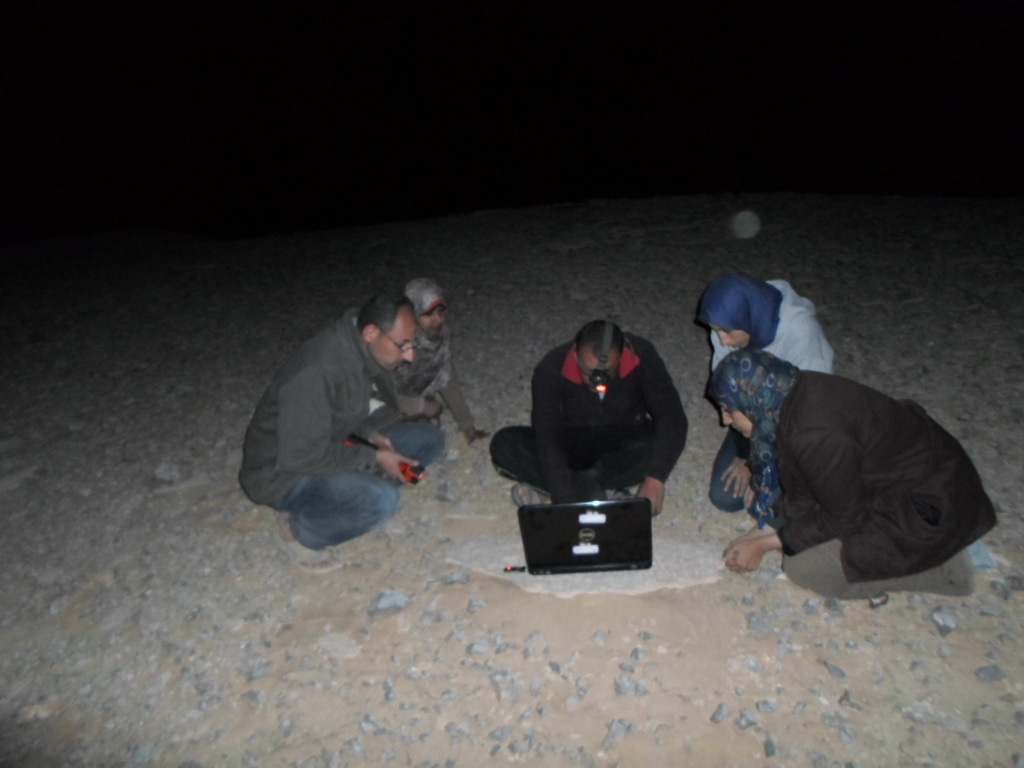 Mansourasaurus- A story from the land of Pharaoh and Dinosaurs ...