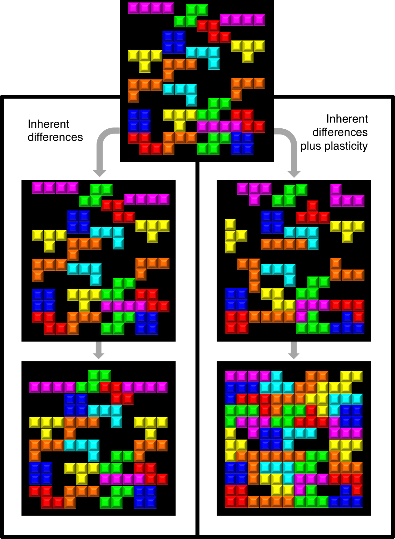 Playing Tetris with trees | Research Communities by Springer Nature