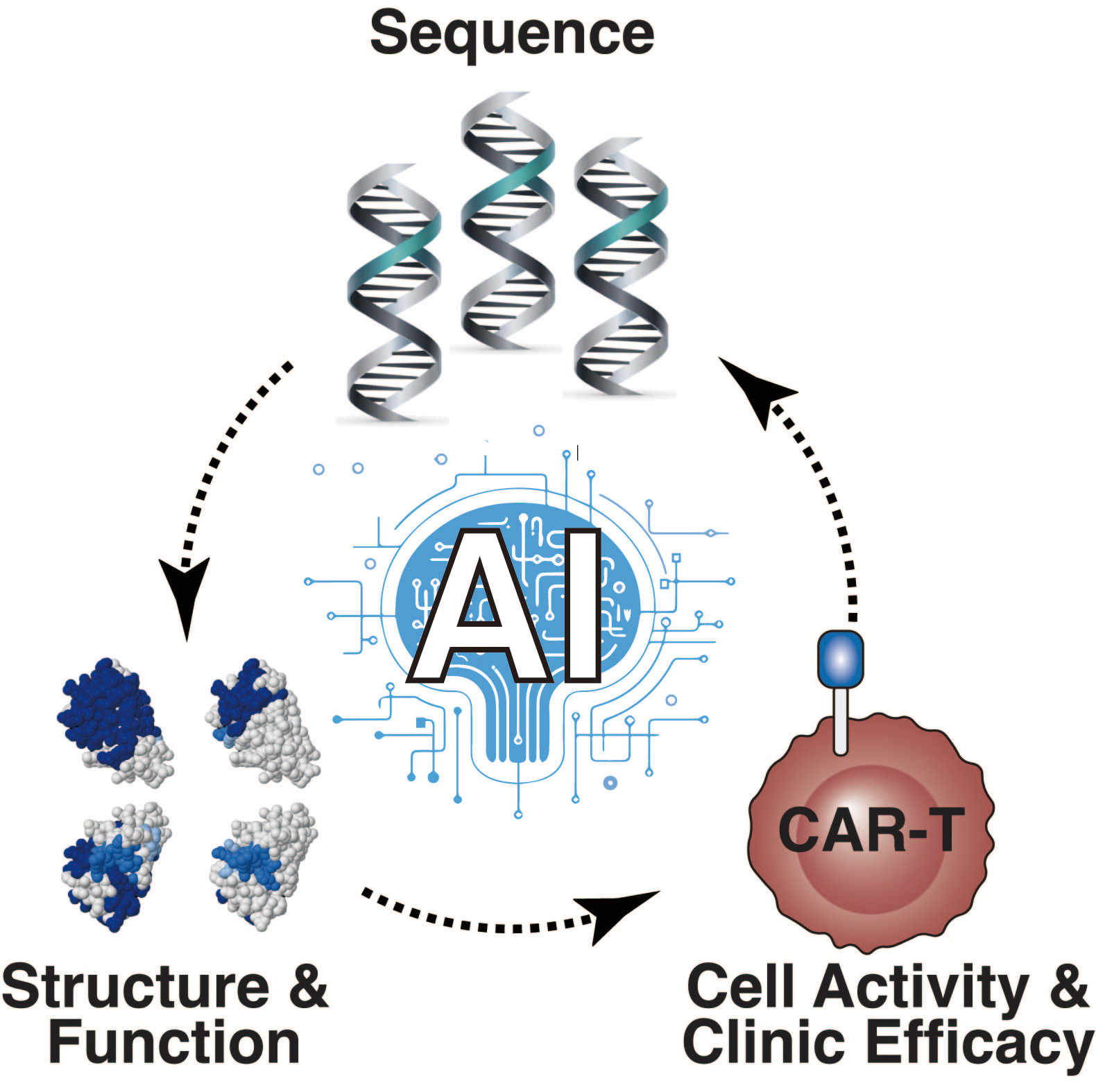 The AI-Driven CAR-T Design Arrives | Research Communities by Springer ...
