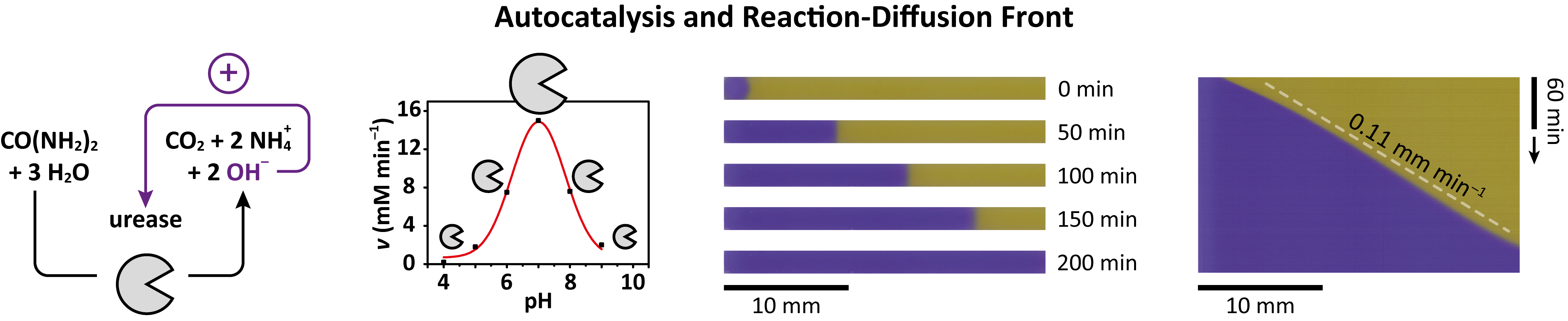 Smart Materials Inspired by Nature: How Do We Create Self-Adaptive ...