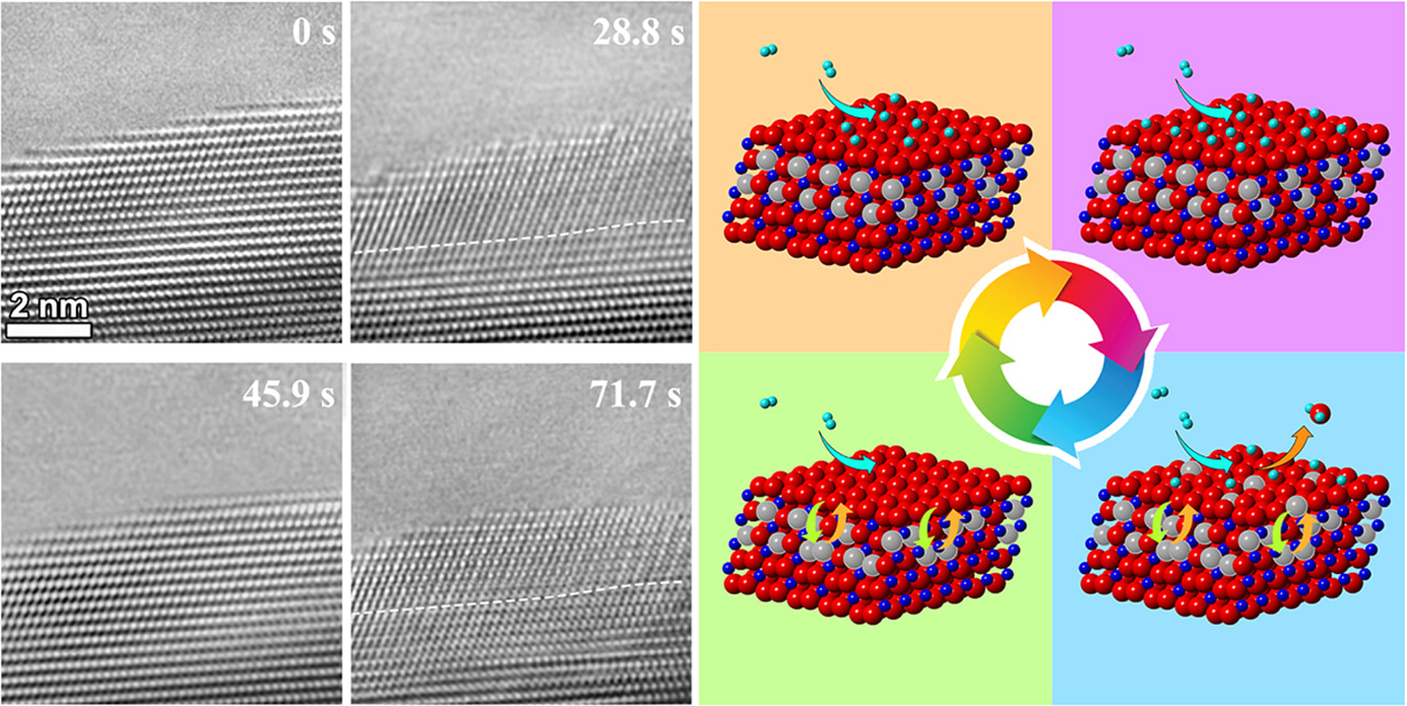 Surface-reaction dynamics induced structural oscillations in the ...