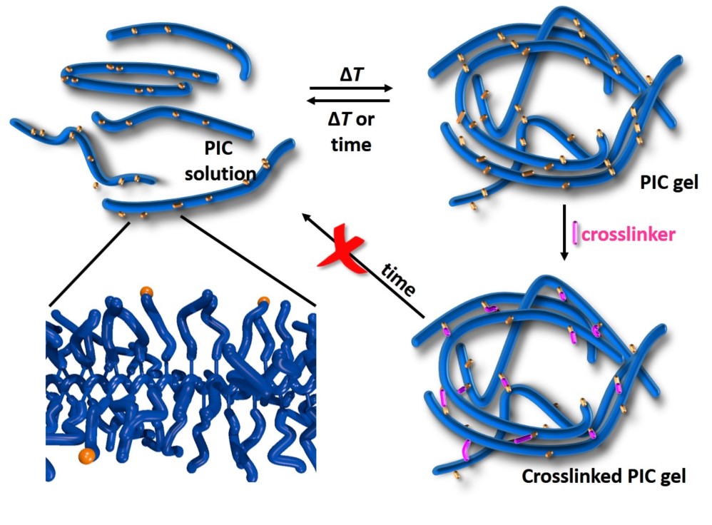 Hydrogel stabilisation: Crosslinking without disadvantages | Research ...