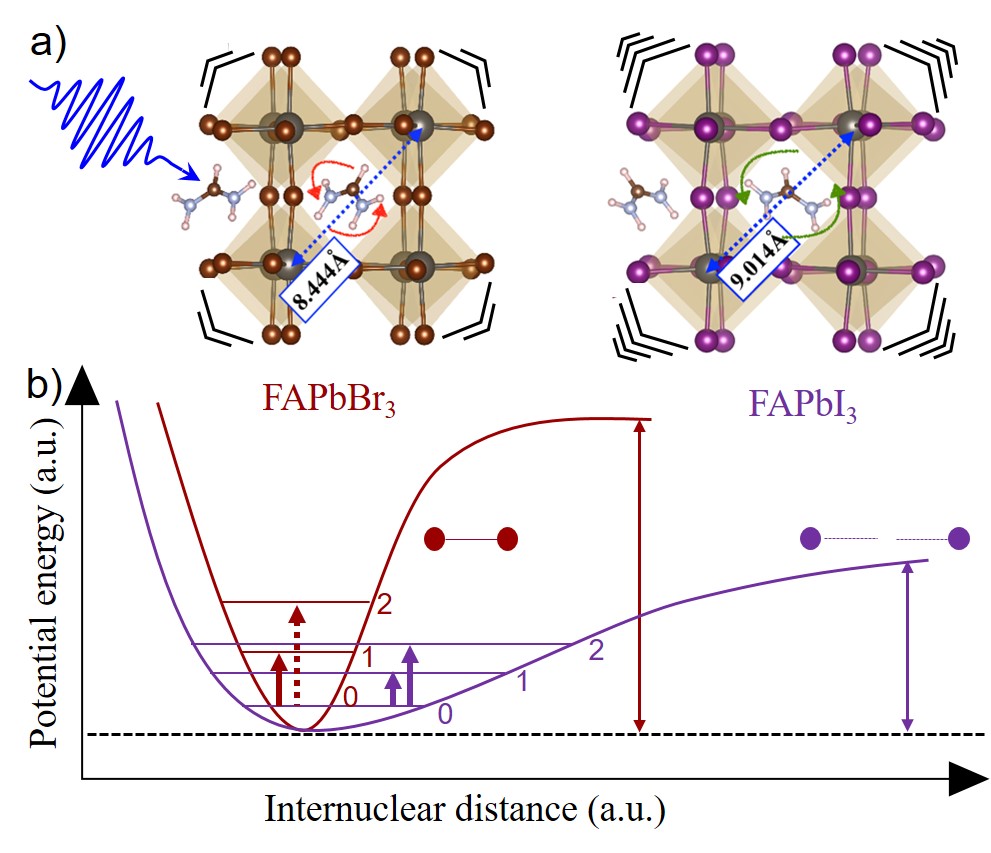 Coherent Vibrational Dynamics Reveals Lattice Anharmonicity in Organic ...