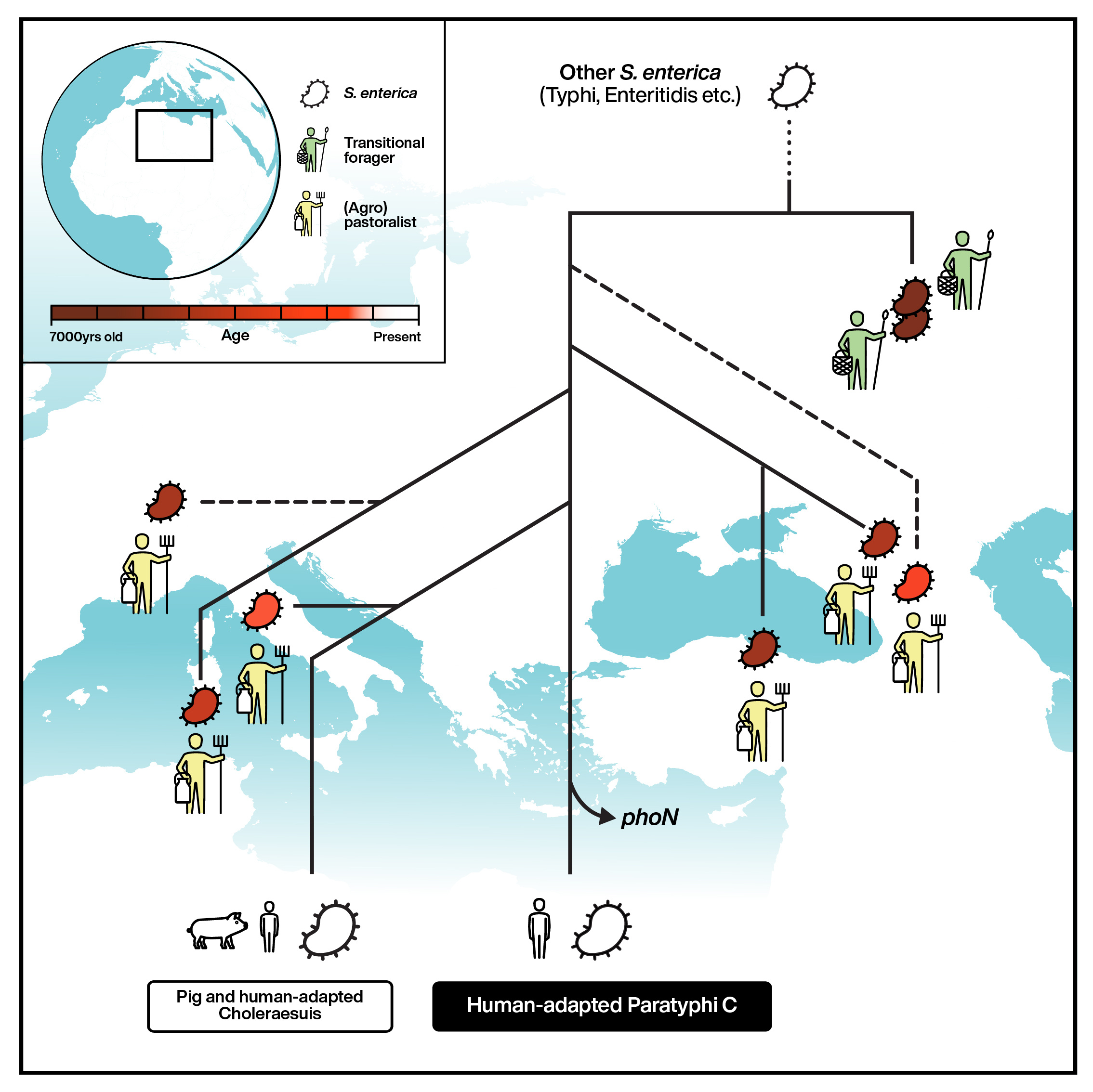Prehistoric disease emergence | Research Communities by Springer Nature