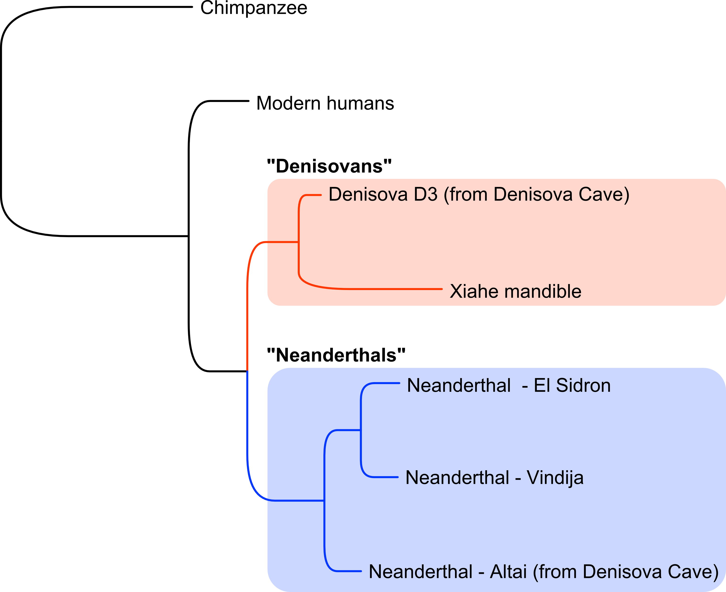 Denisovans In Tibet Research Communities By Springer Nature