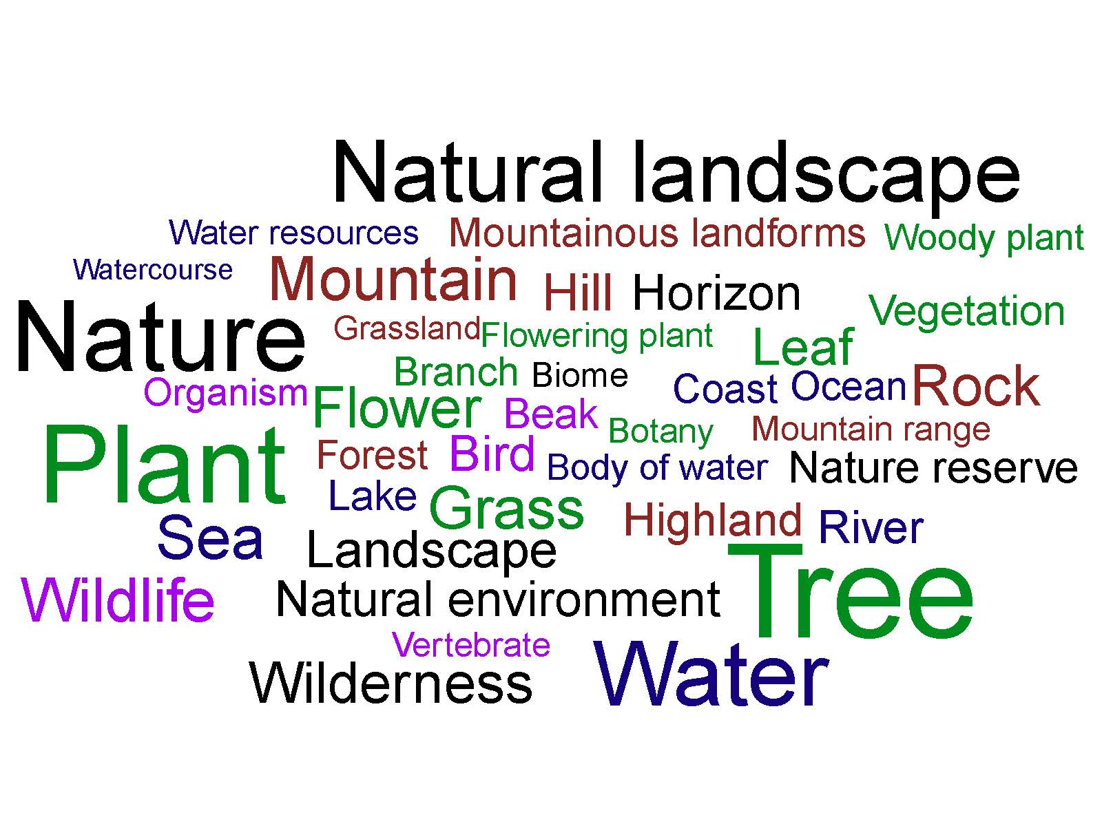 Social media photographs reveal a connection between nature and fond ...