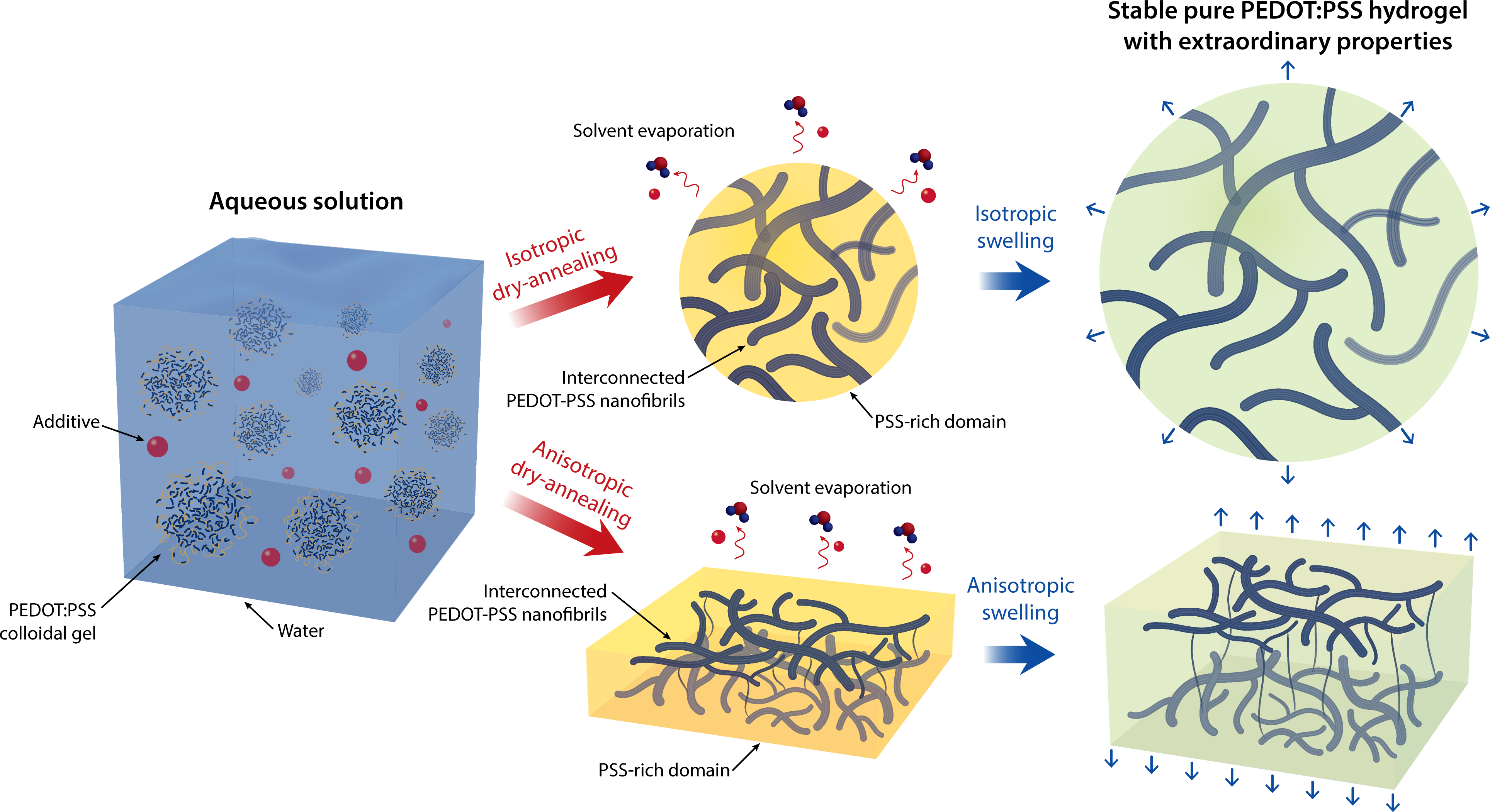 Pure PEDOT:PSS hydrogels | Research Communities by Springer Nature