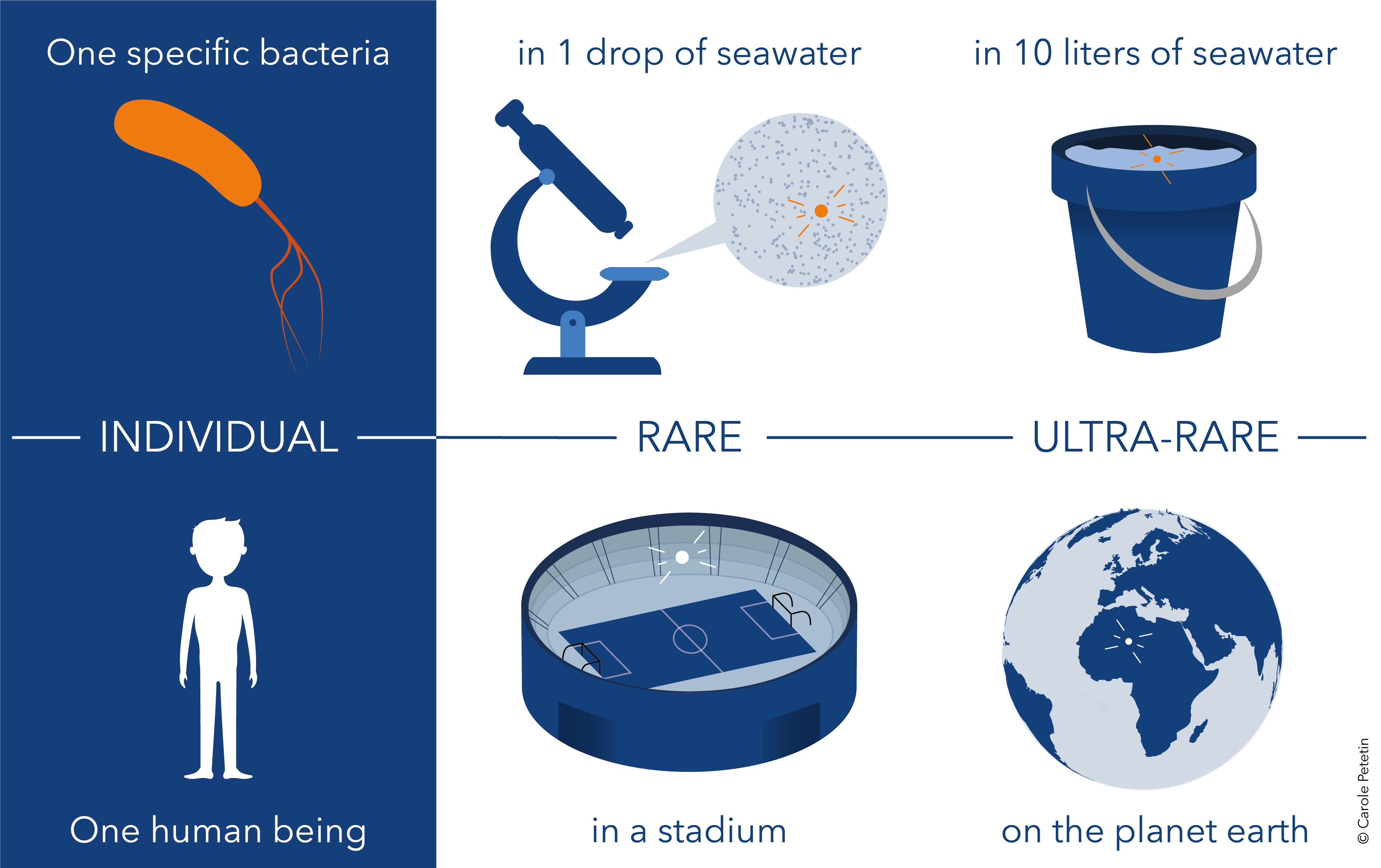 The quest for the ultra-rare biosphere | Research Communities by ...