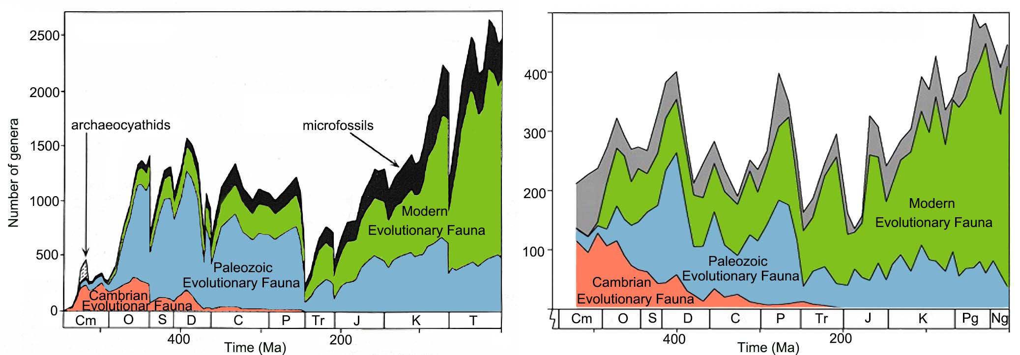 Supercomputer-assisted algorithm discovers previously unknown high ...