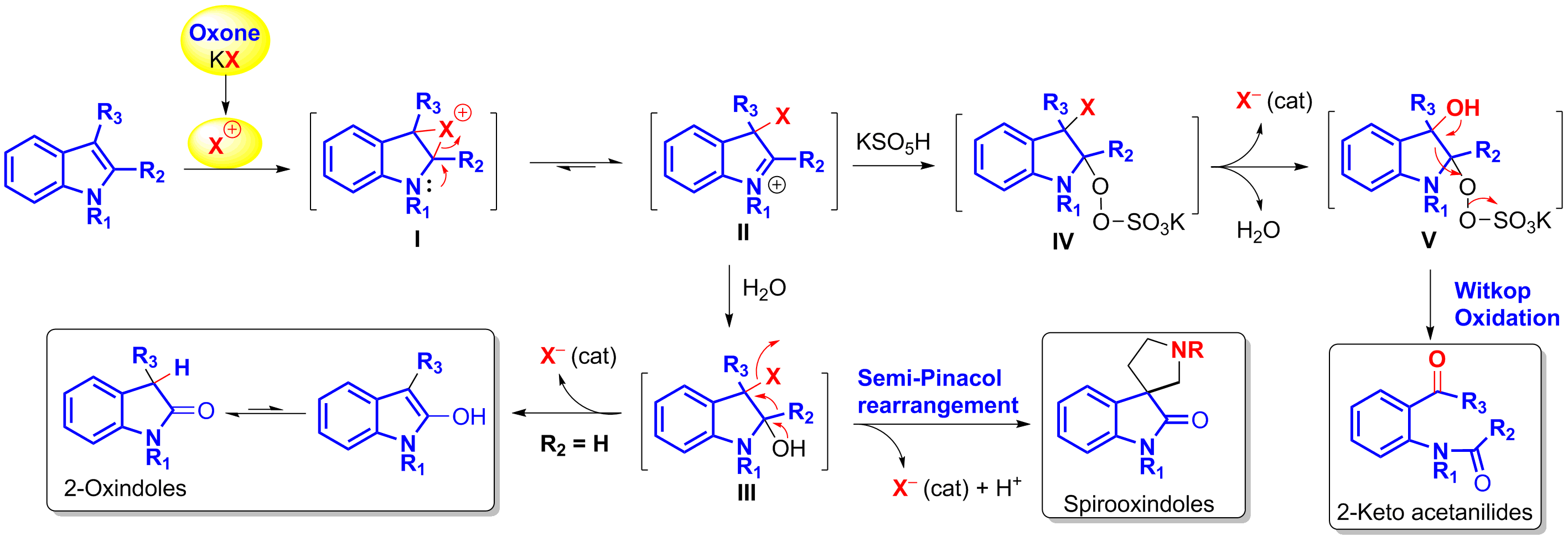 Green Oxidation of Indoles using halide Catalysis | Research ...