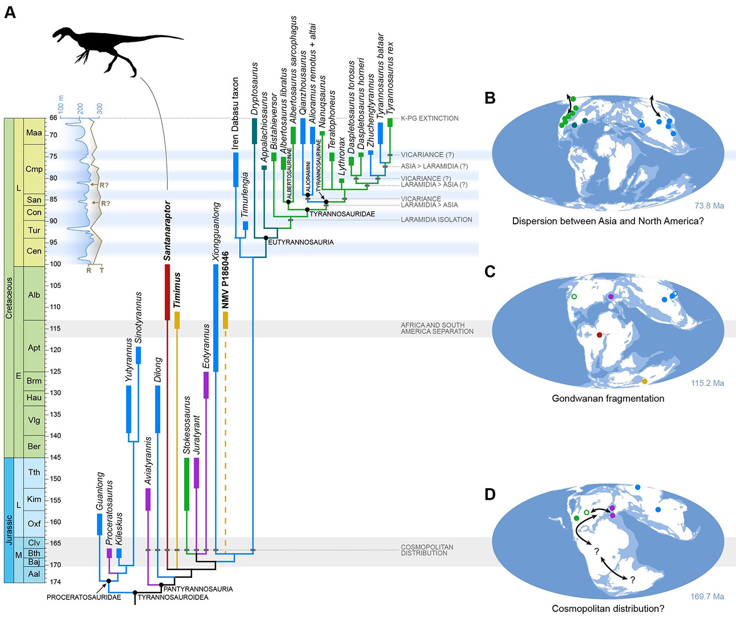 Unusual South American T-rex relative under fire | Research Communities ...
