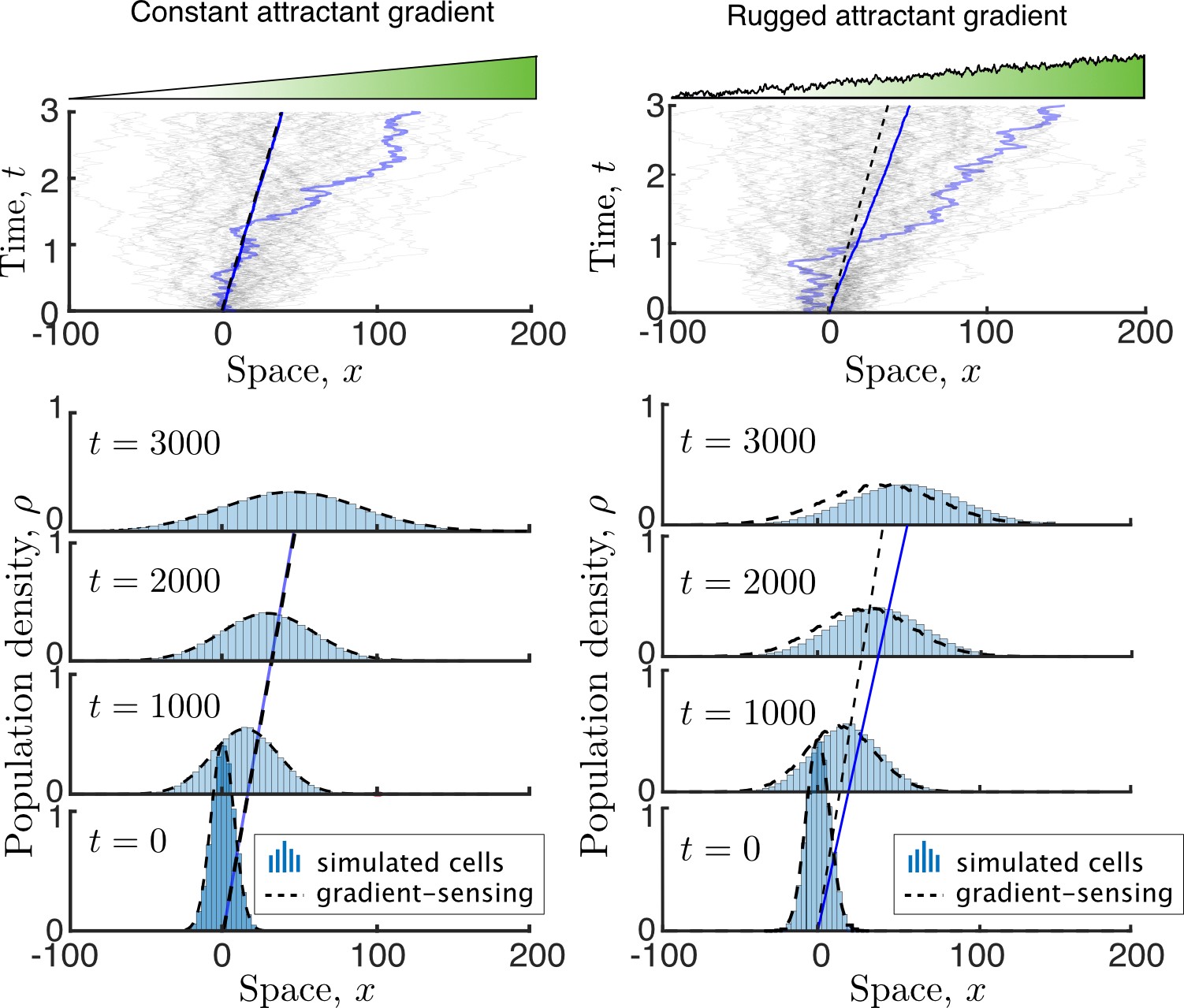 Remember what you encounter as you swim! (How memory helps microscopic ...