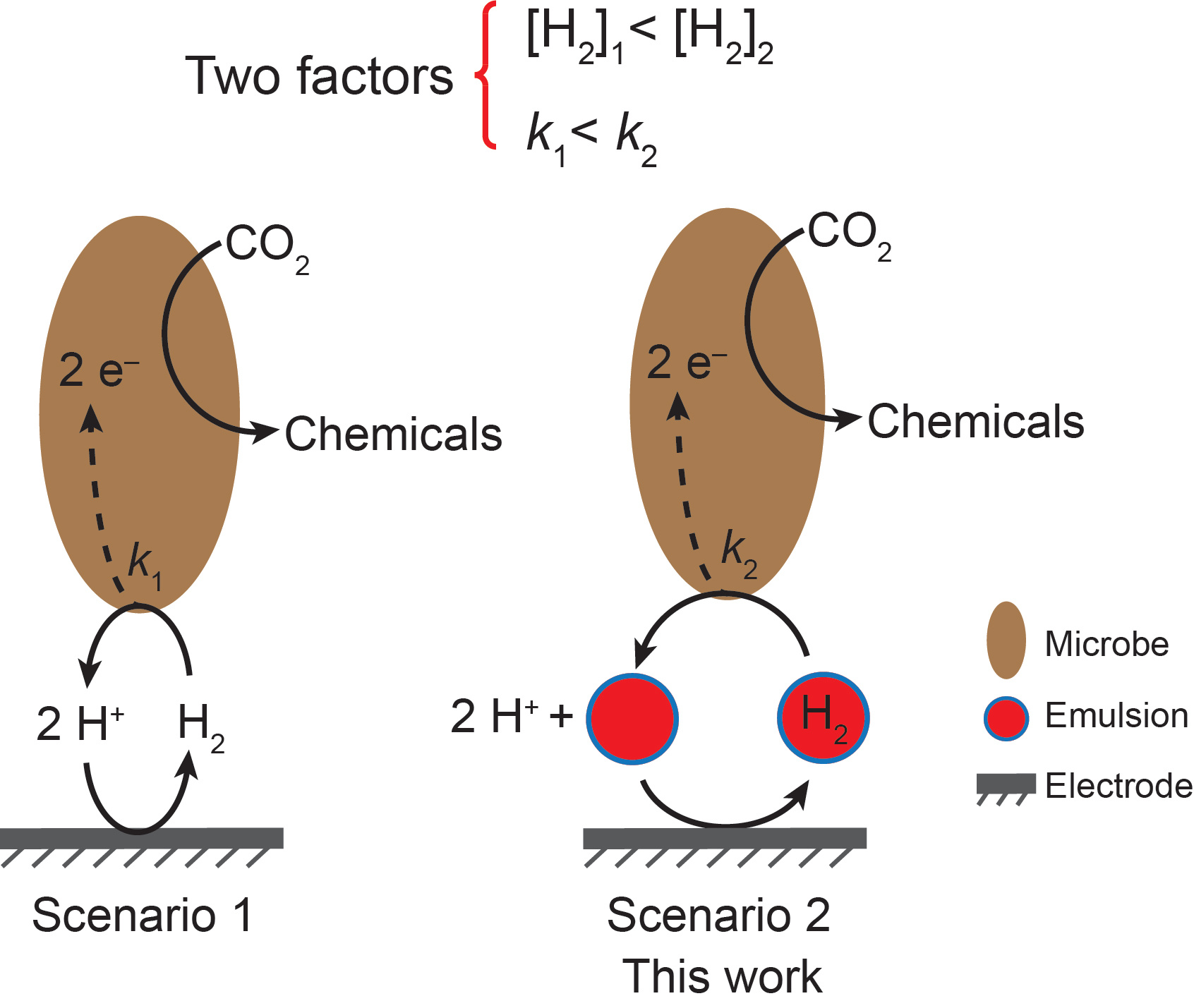 Perfluorocarbon nanoemulsions enhance electricity-driven microbial ...