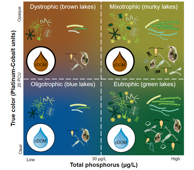 The Lake Trophic State-US dataset: A new tool to track continental ...