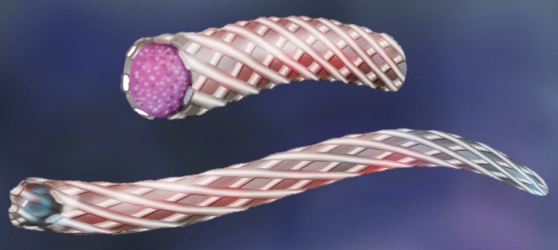 Repairing defects while respecting growth | Research Communities by ...