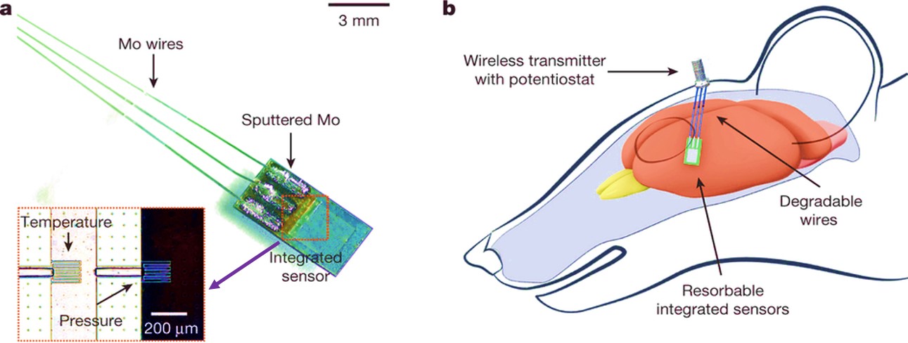 Wireless Implant Technology in Medicine | Research Communities by ...