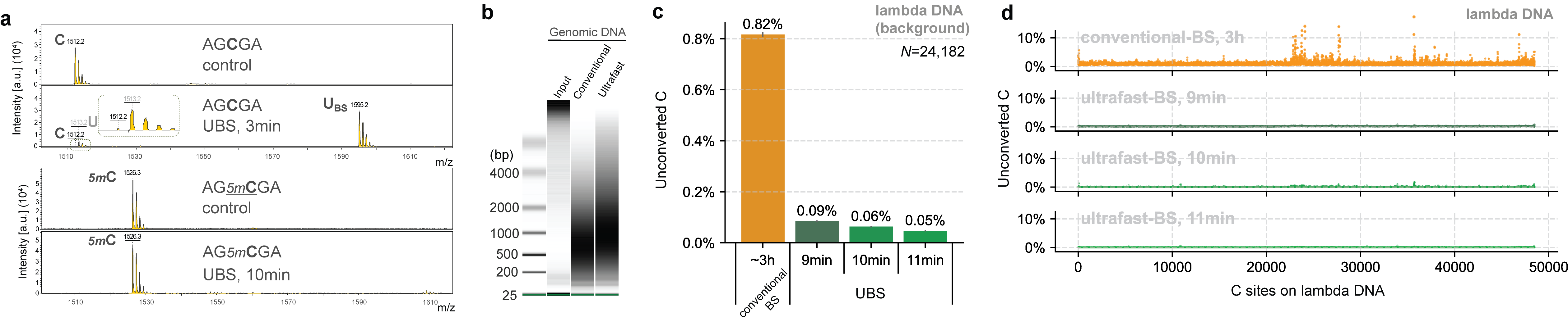 UBS-seq: An ultrafast bisulfite sequencing method more accurately ...