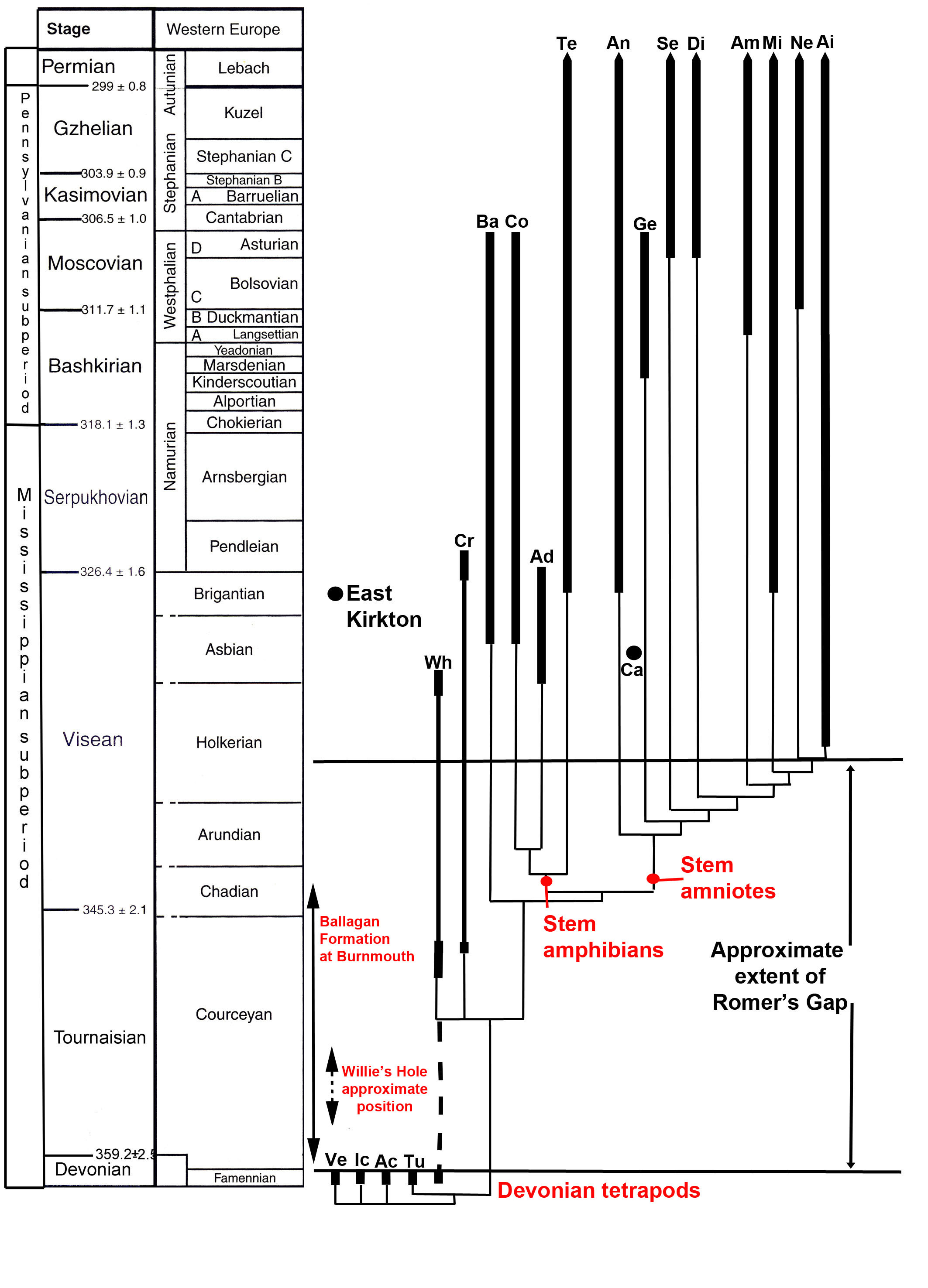 Rebuilding a post-extinction world in the early Carboniferous ...