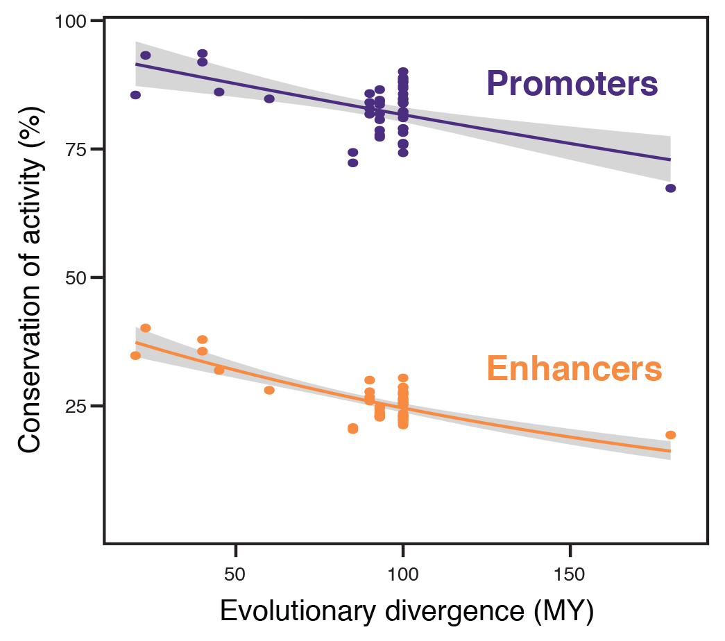 Strength in numbers: the evolution of gene regulation in mammals ...