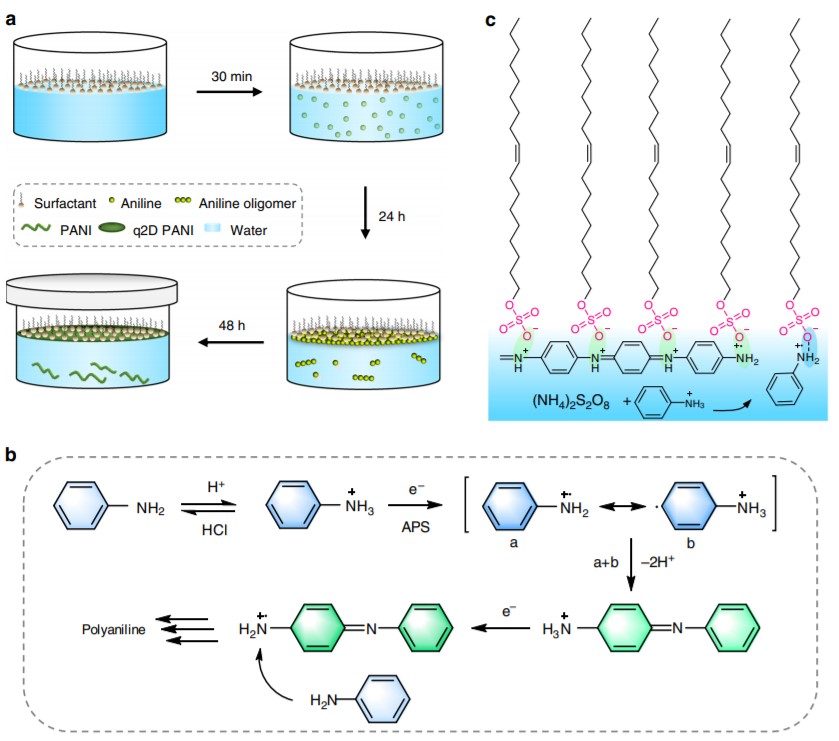 A Method to Achieve the Synthesis of 2D (Conducting) Polymer Single ...