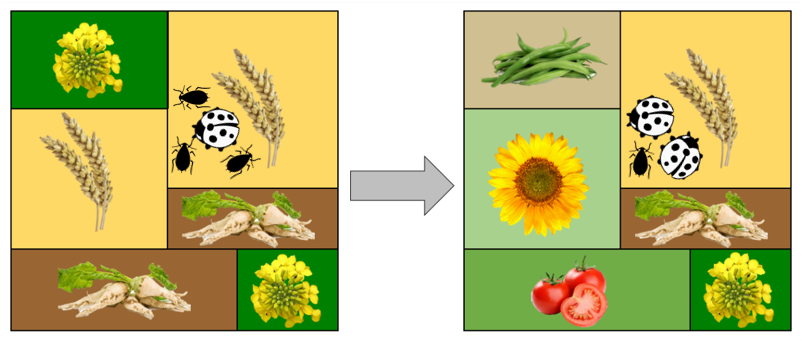 Why crop diversity and efficient stakeholder communication matters ...
