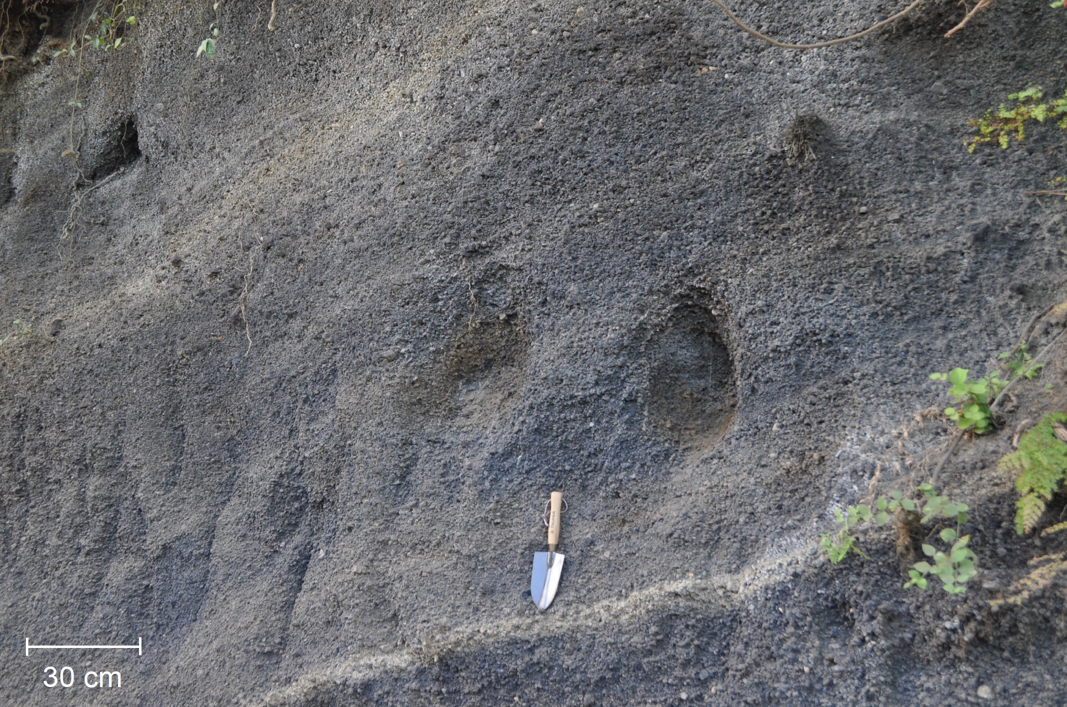 Basaltic Plinian eruptions at Las Sierras-Masaya volcano driven by cool ...