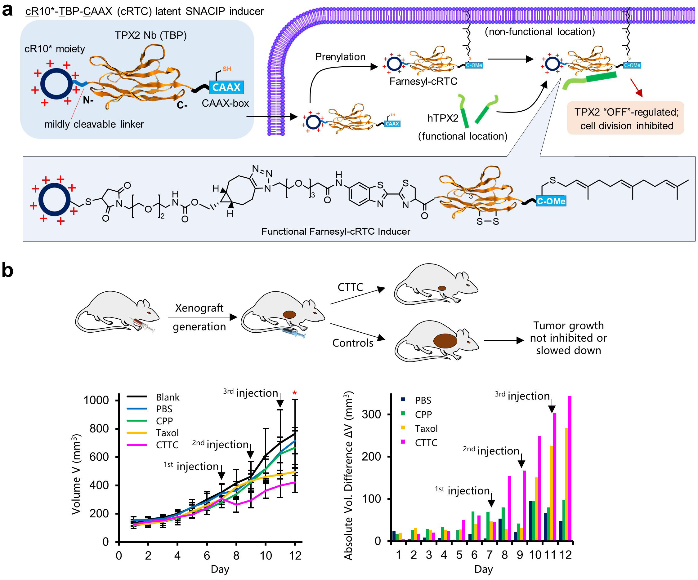 SNACIP: small molecule-nanobody conjugate induced proximity controls ...