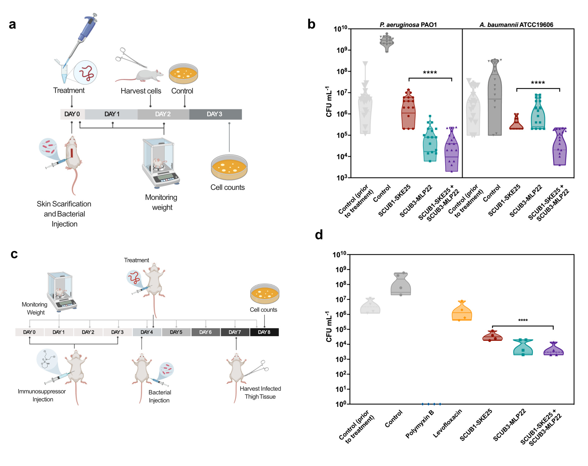 Mining for encrypted peptide antibiotics in the human proteome ...