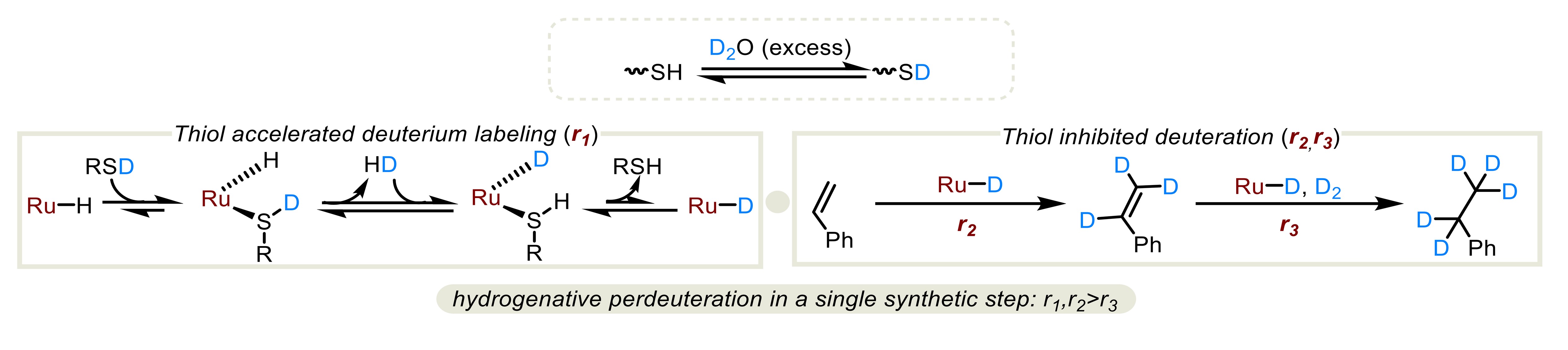 Hydrogenative alkene perdeuteration aided by a transient cooperative ...