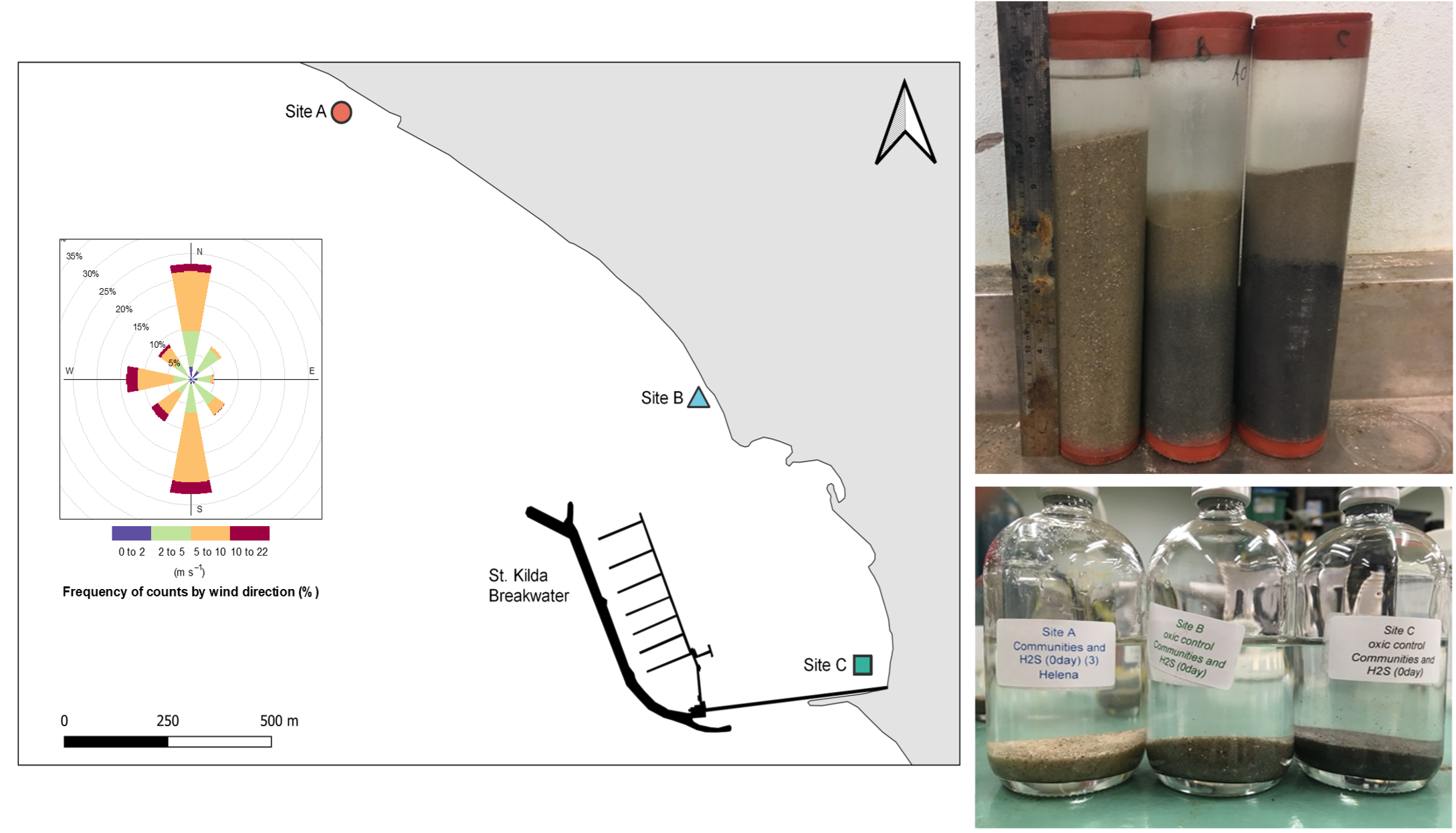 Winning the game: a fight for survival in sands | Research Communities ...