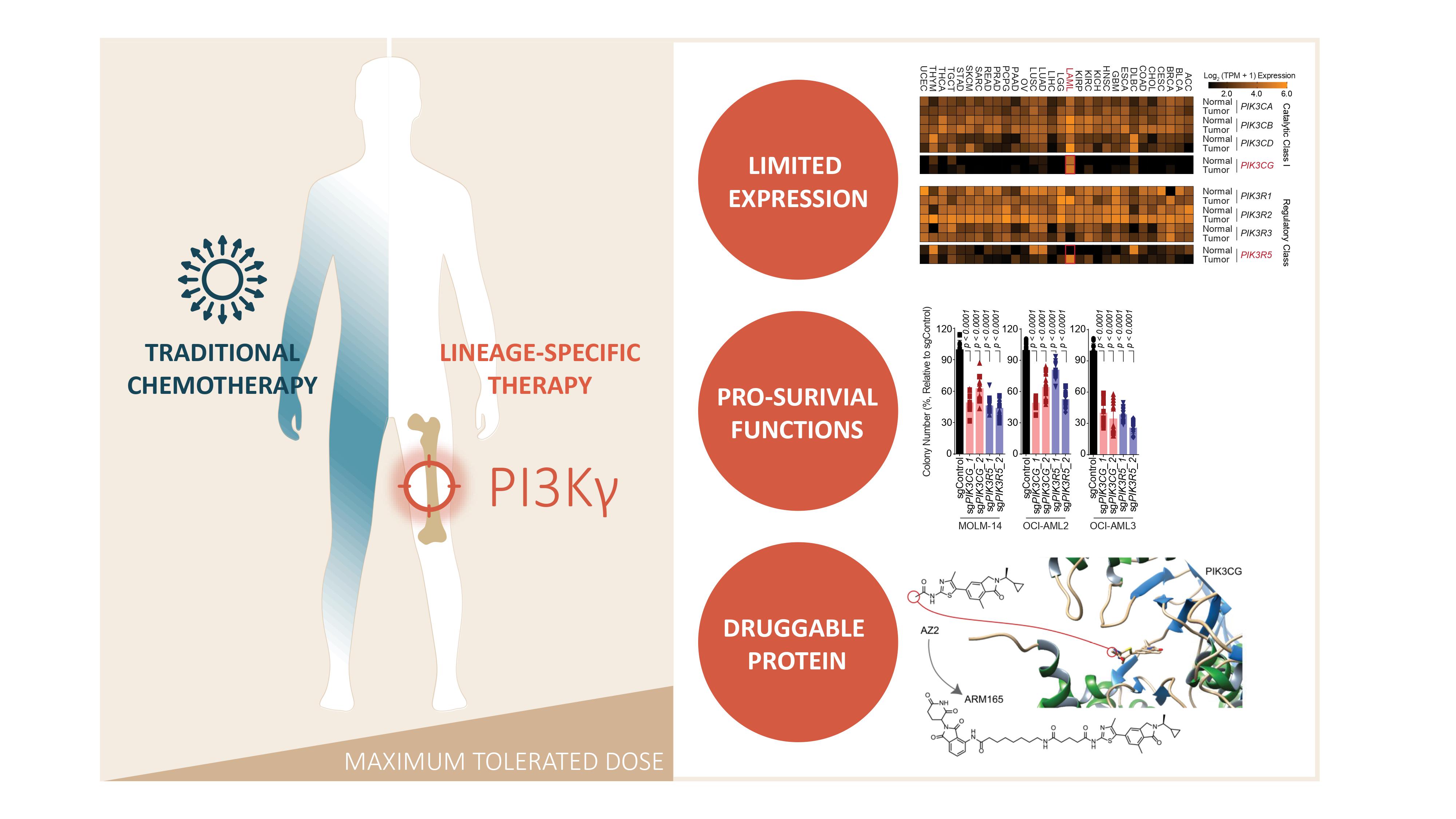 Targeting a Lineage-Specific PI3Kγ/ AKT Signaling Molecule in Acute ...