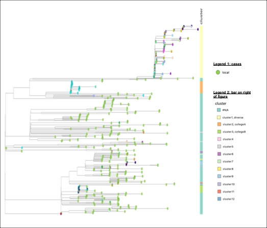 “University students drive covid-19 infections: fact or fiction ...
