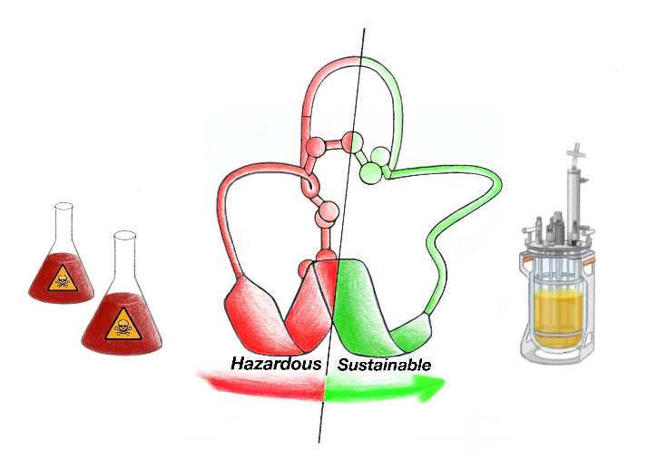 Towards sustainable bioproduction of cyclic disulfide-rich peptides ...