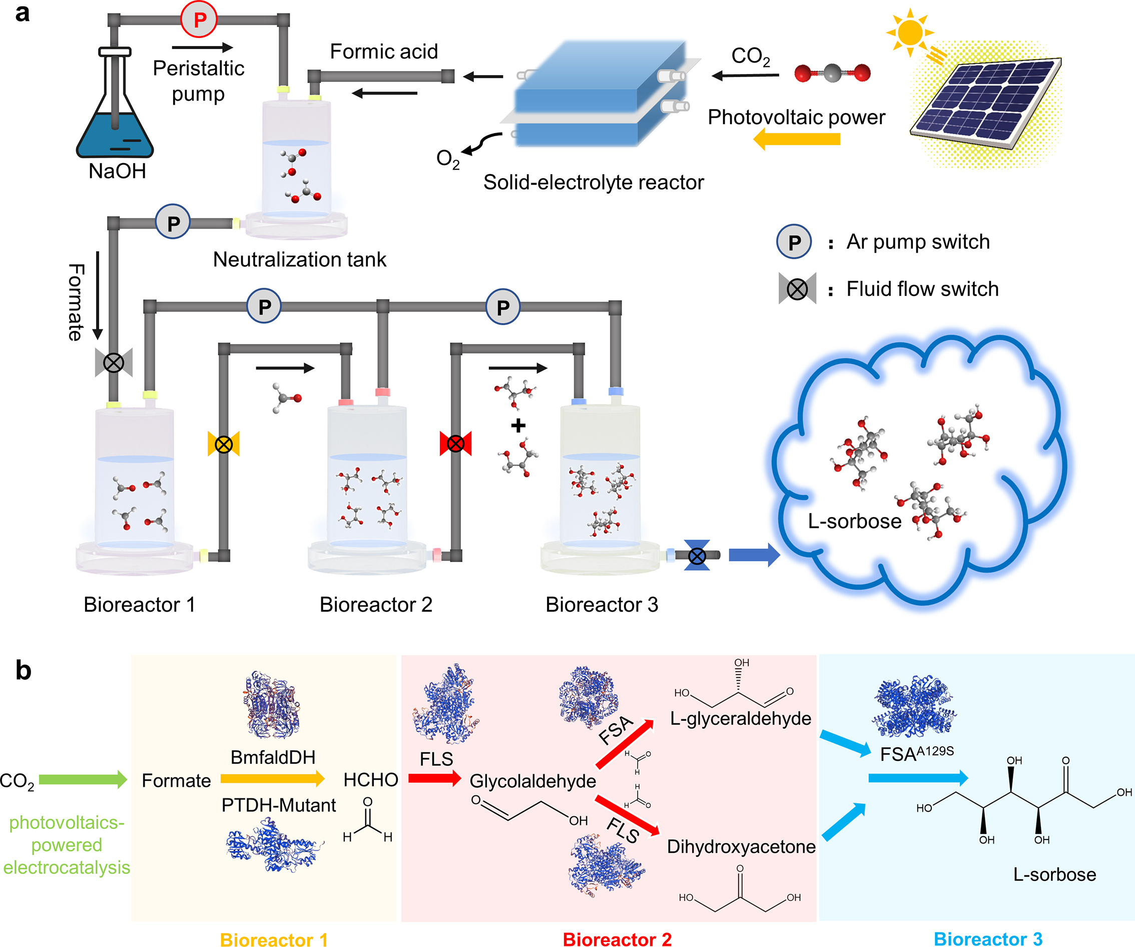 Solar-driven sugar production directly from CO2 | Research Communities ...