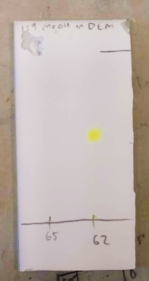 What can enzymes teach us about working together? | Research ...