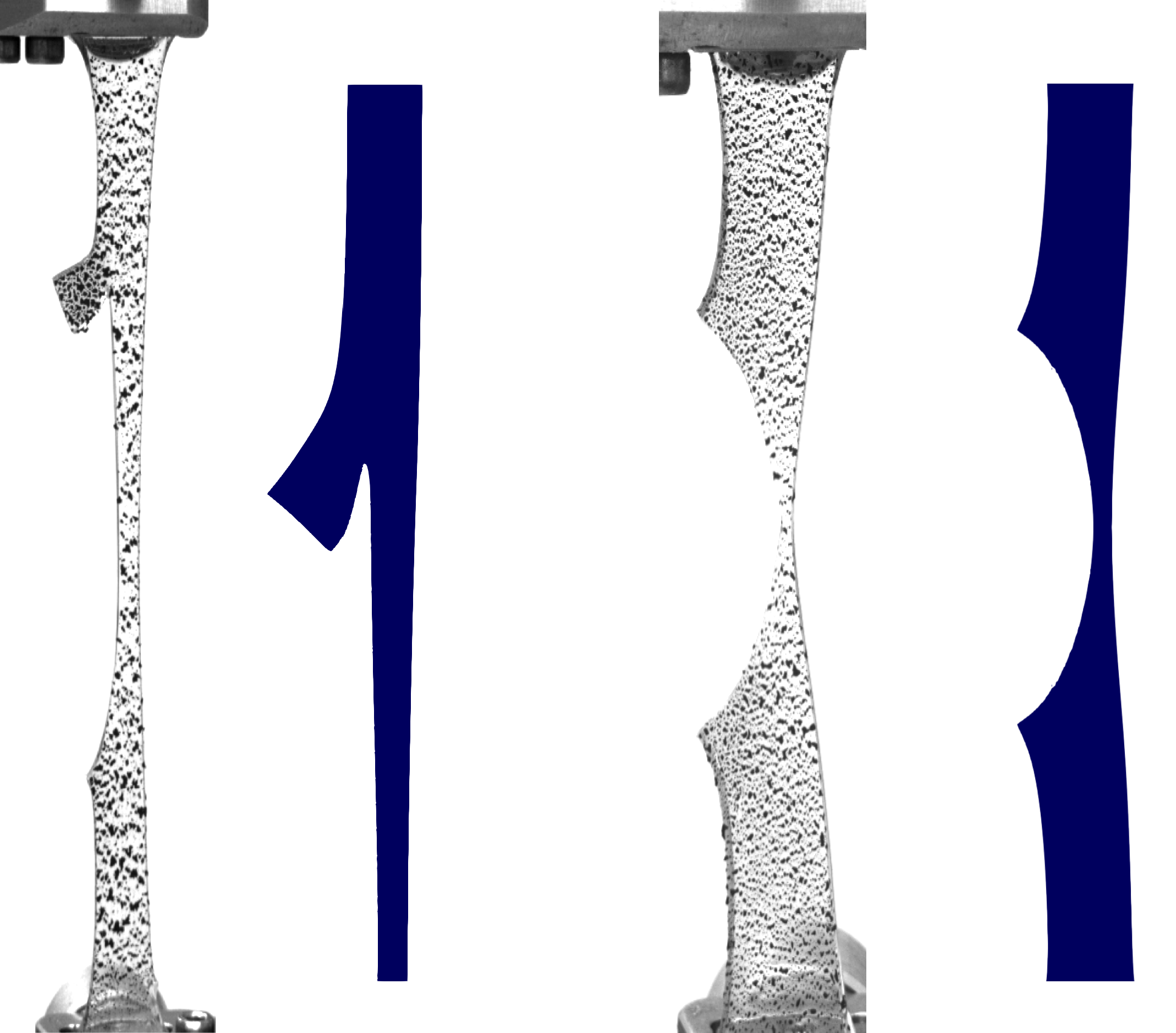 Crosslinking degree variations enable programming and controlling soft ...