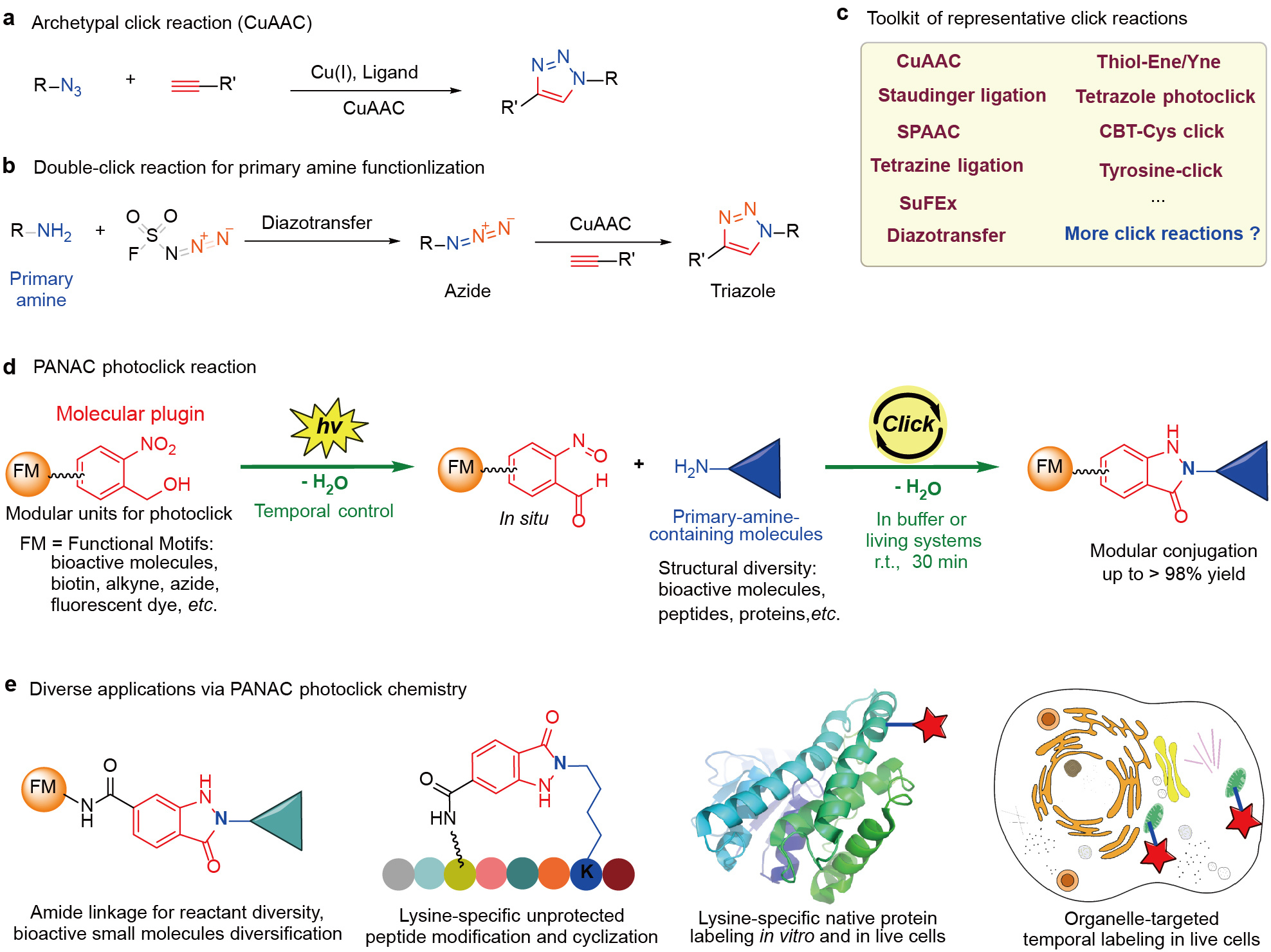 A versatile photoclick reaction expanding the toolkit of click ...