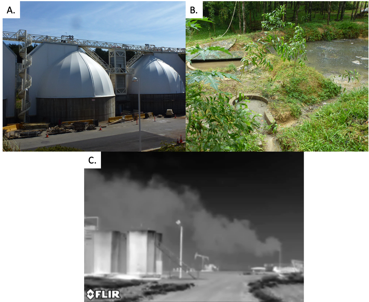 Transforming greenhouse gases into food | Research Communities by ...