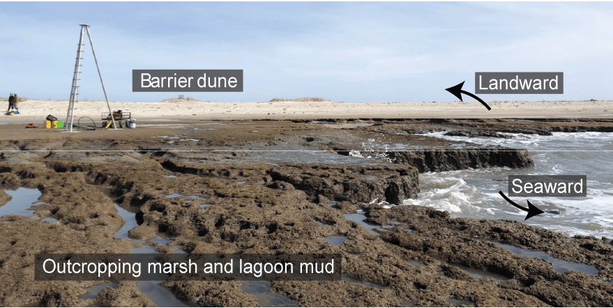 Blue carbon to the waveside: carbon erosion along migrating barrier ...