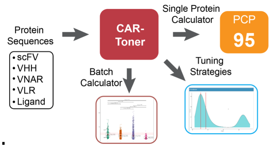 The AI-Driven CAR-T Design Arrives | Research Communities by Springer ...