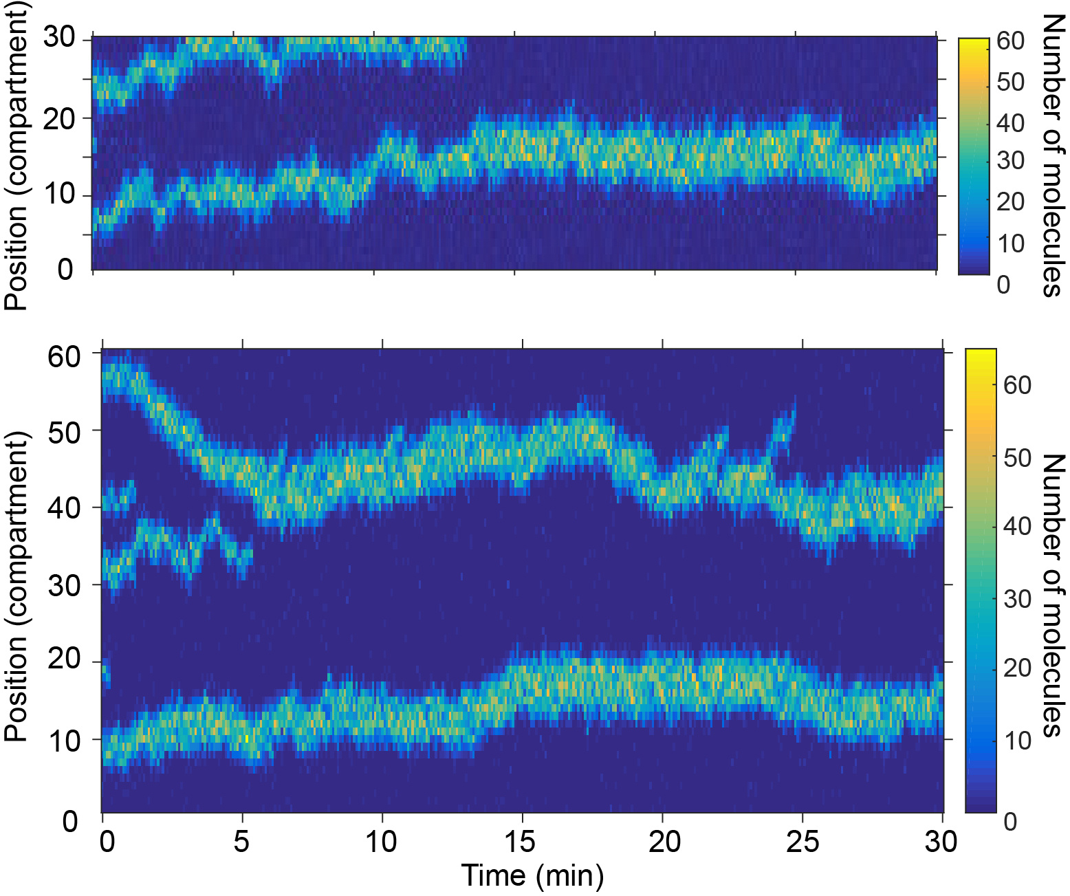 Regular Positioning of Proteins within Bacteria | Research Communities ...