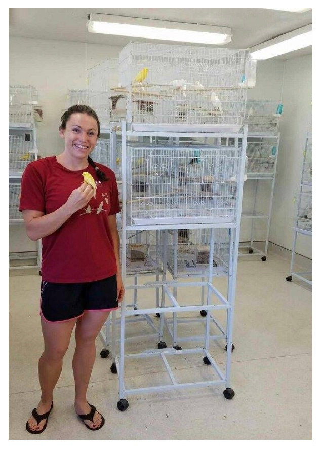 Lessons of color from a colorless bird | Research Communities by ...