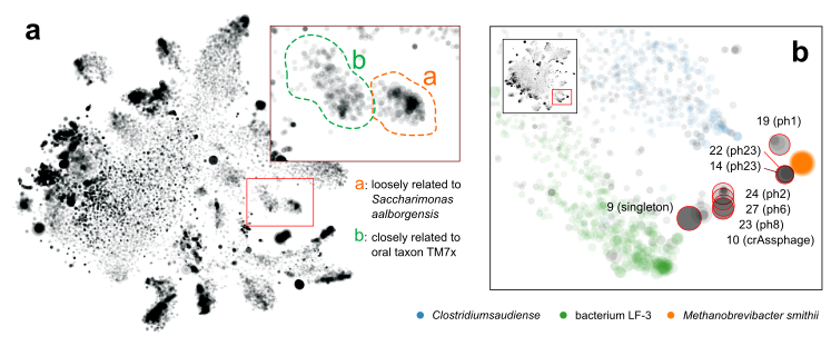 Capturing microbial dark matter by visualizing them | Research ...