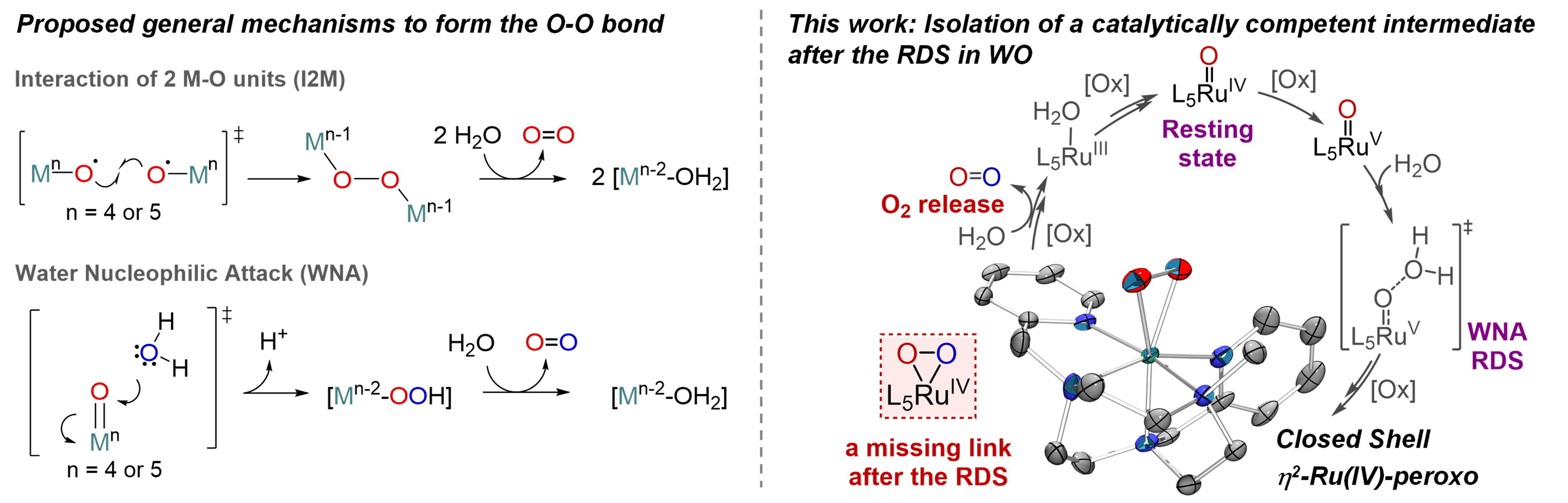 Isolation of a Ru(IV) side-on peroxo intermediate as a missing link in ...